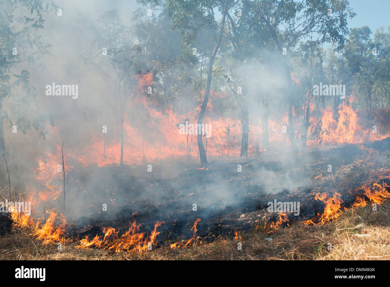 Bush fire, Australia Stock Photo - Alamy