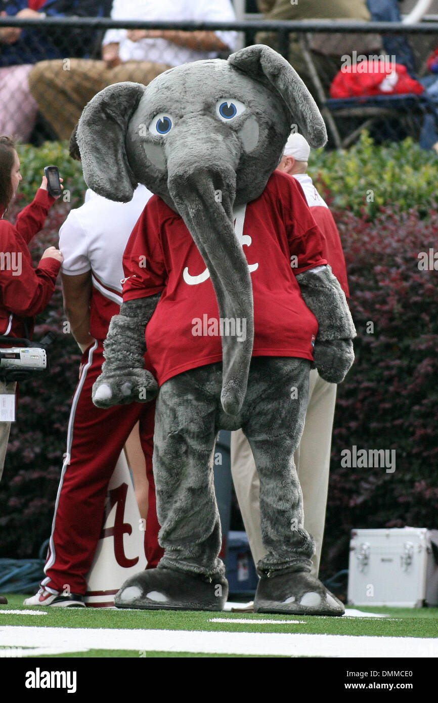 Alabama crimson tide mascot hi-res stock photography and images - Alamy