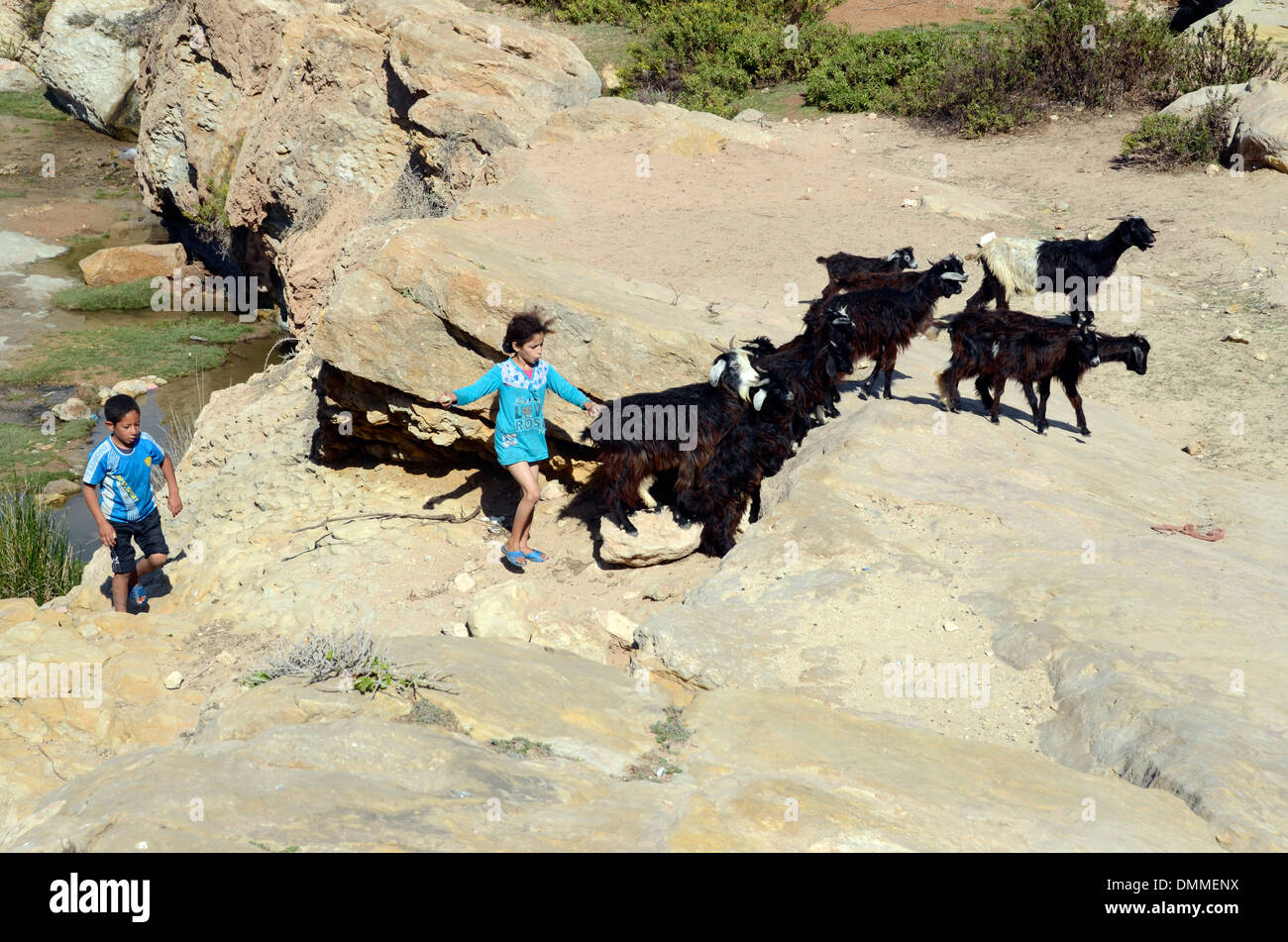 Berber coast hi-res stock photography and images - Alamy