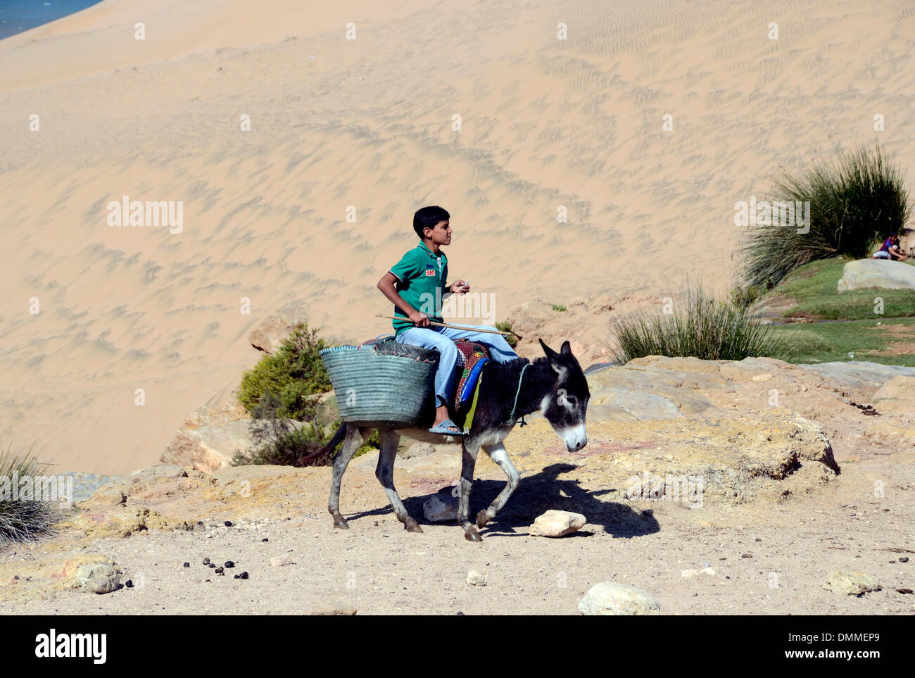 Berber boy riding a donkey a small valley near a Berber village on the ...
