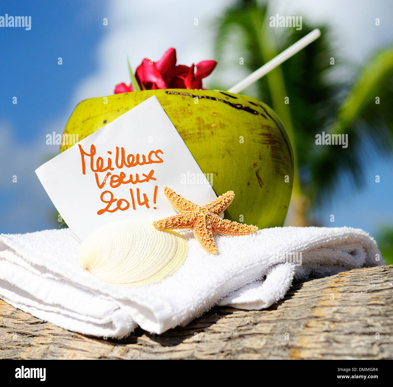 Coconut cocktail starfish tropical Caribbean beach refreshment and ...