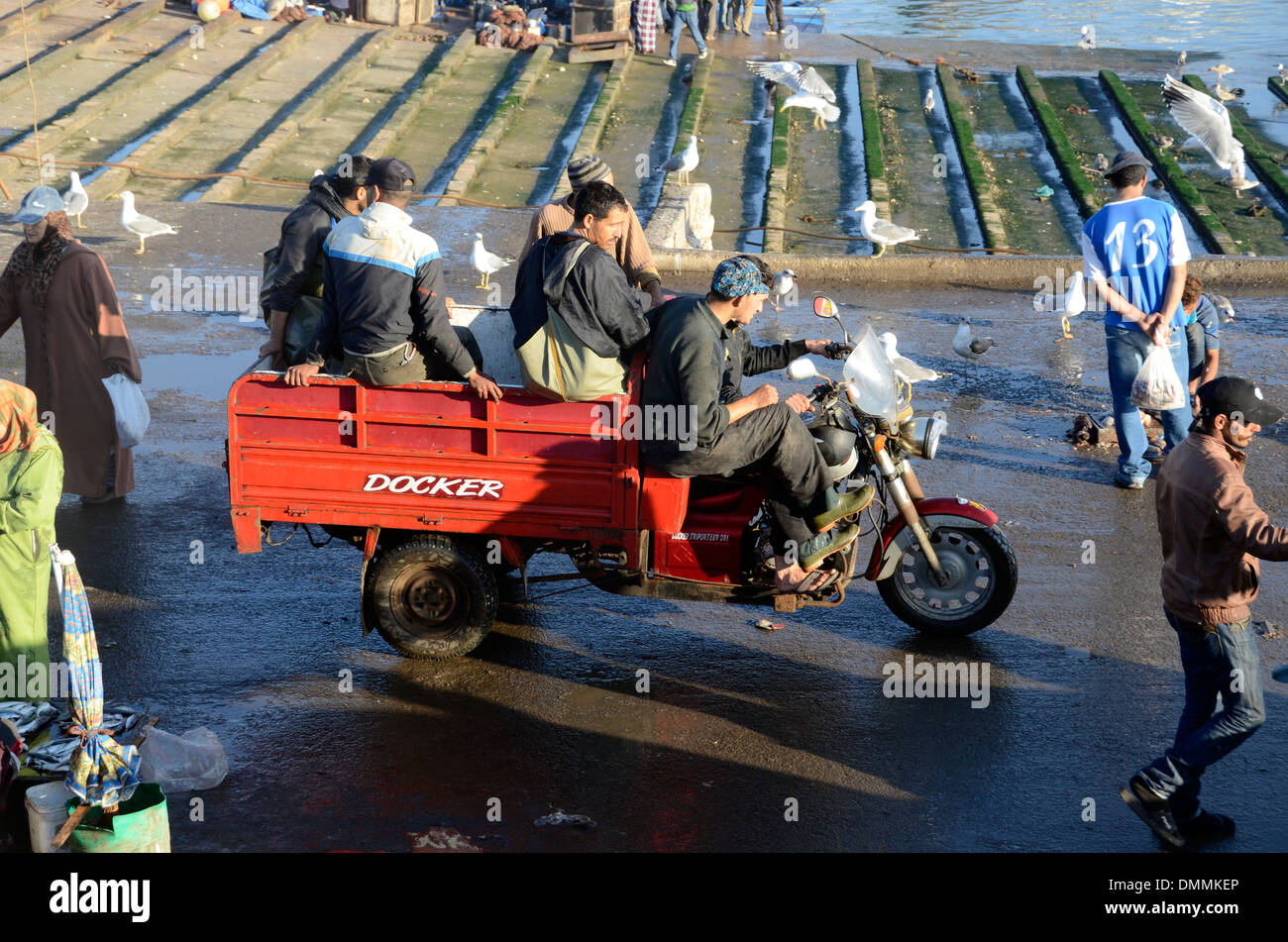 Fish cart in the fish market at Essaouira Port, Morocco Stock Photo - Alamy