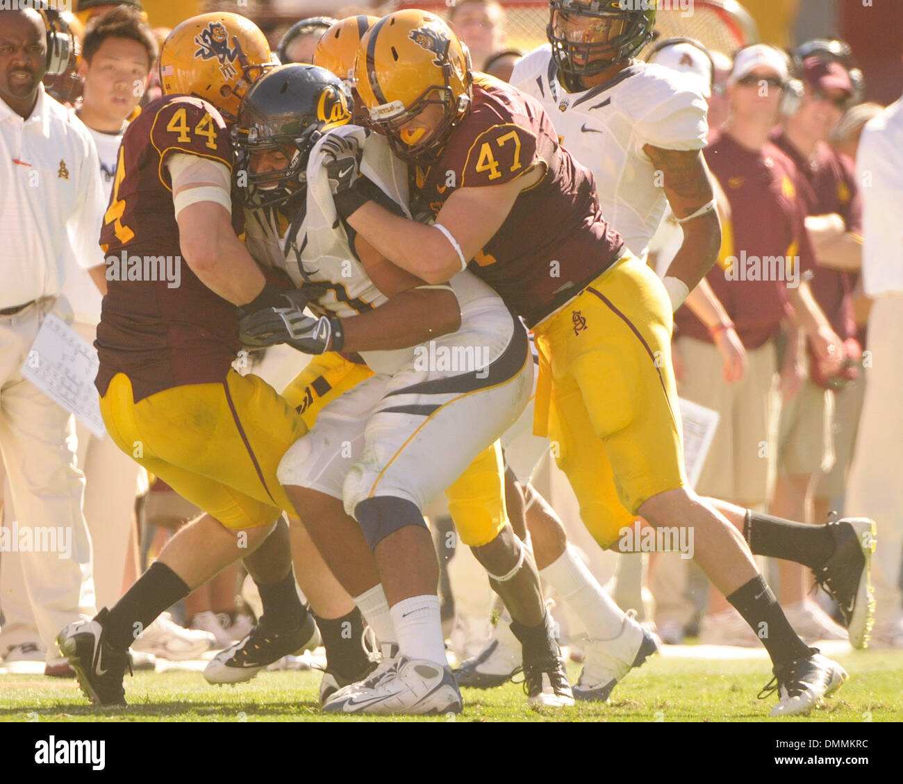 October 31, 2009: California tight end Anthony Miller (80) and Arizona ...