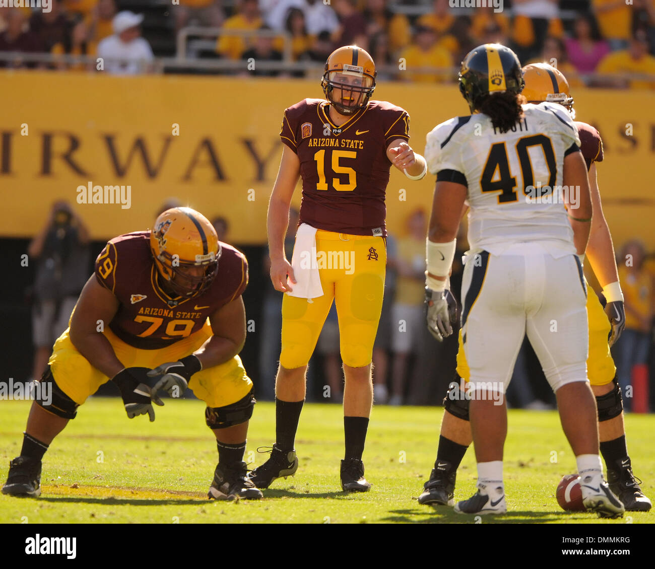 Golden Bears High Resolution Stock Photography and Images - Alamy