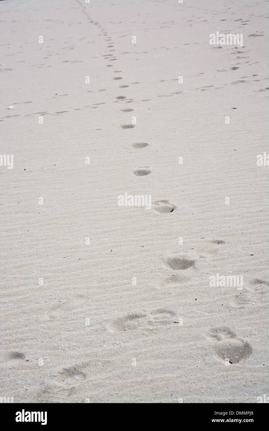 Sand background with foot prints vertical image Stock Photo - Alamy