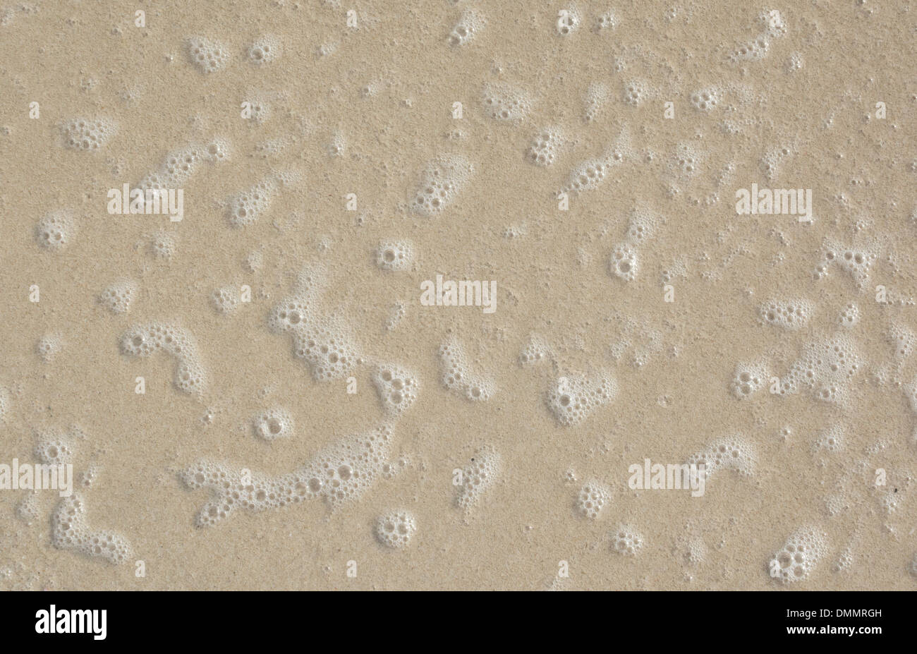 Seafoam bubbles thin layer on sandy beach Stock Photo - Alamy