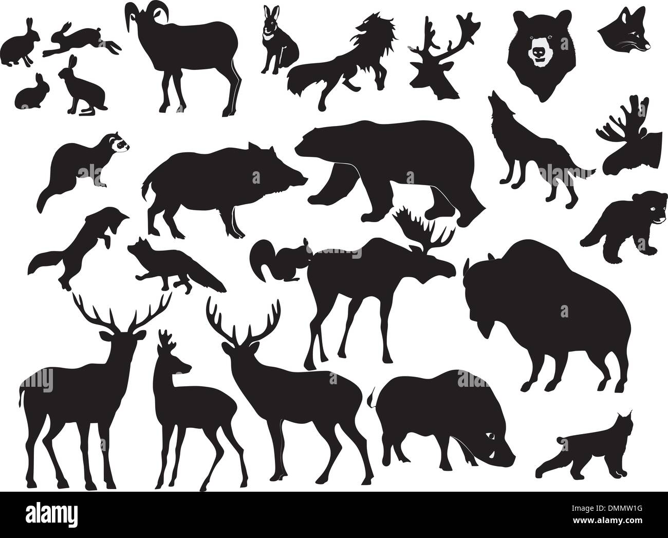 big set of the different forest animals Stock Vector Image & Art - Alamy