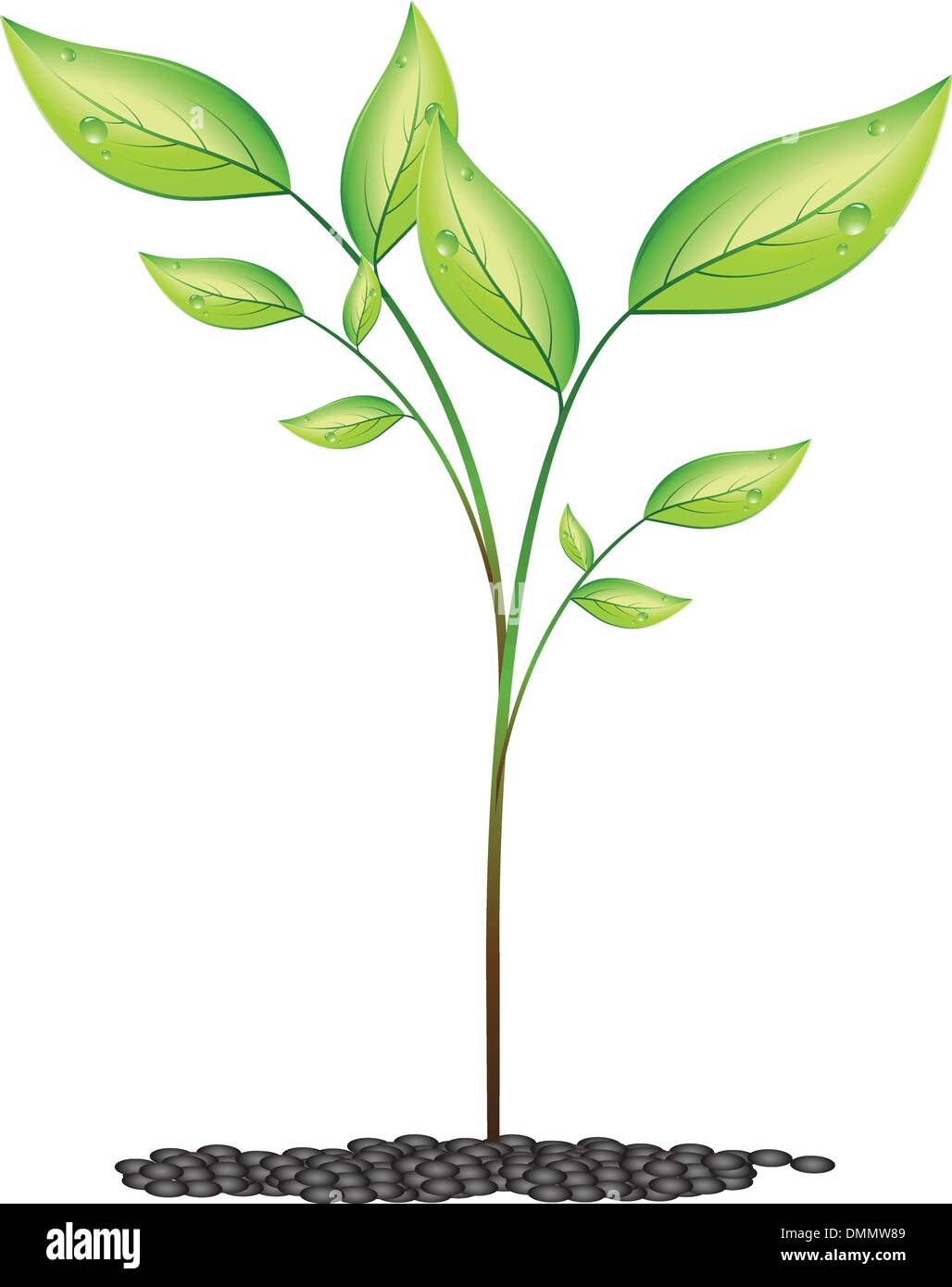 Four part leaf Stock Vector Images - Alamy