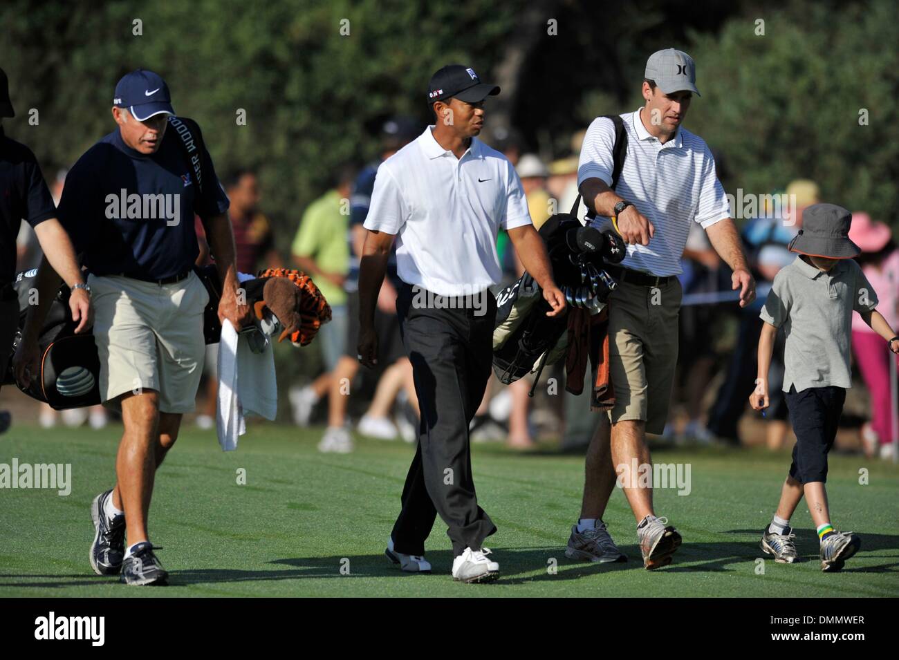 Tiger gale hi-res stock photography and images - Alamy