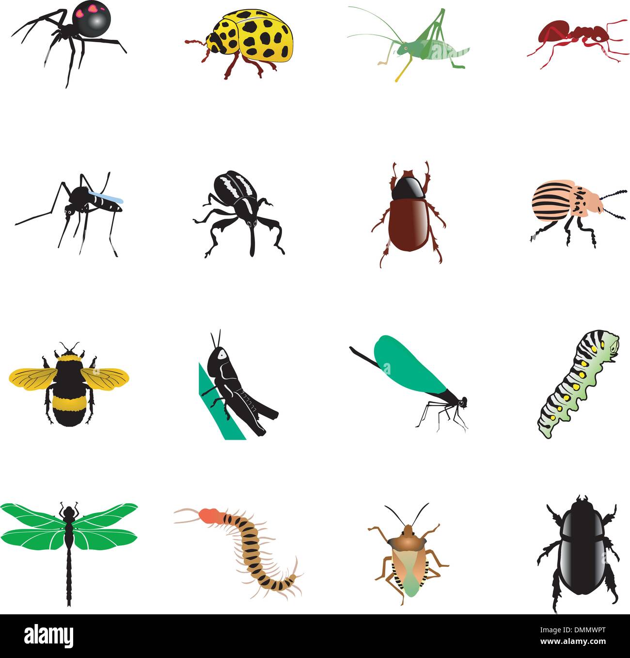 set of the different kinds of insects and spiders Stock Vector Image ...