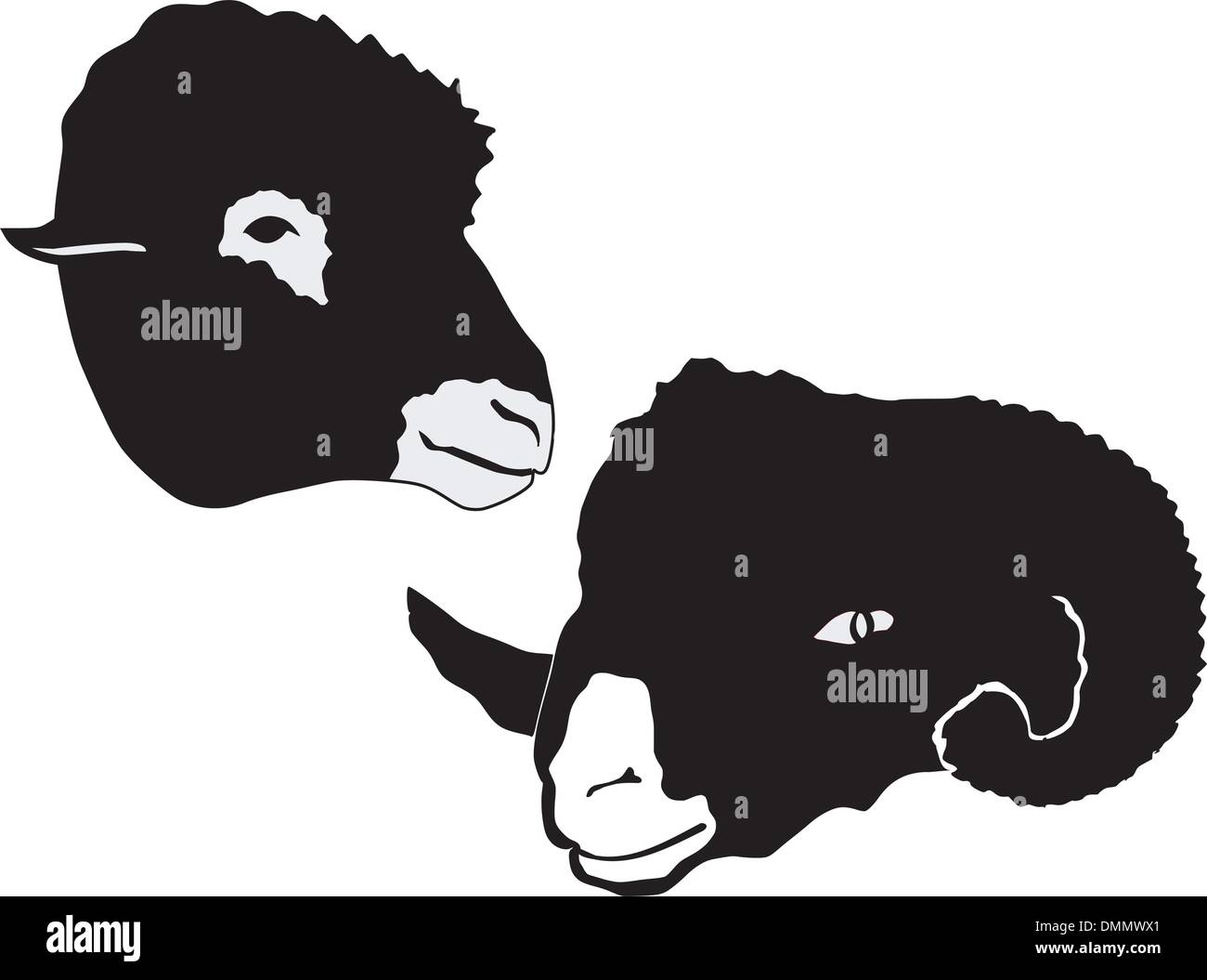 Sheep head profile Stock Vector Images - Alamy