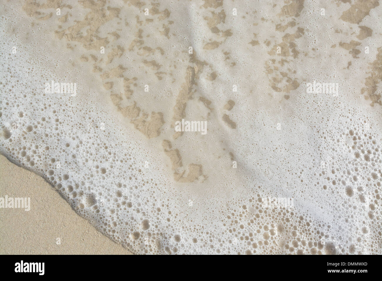Seafoam bubbles closeup with water edge on a sandy beach Stock Photo ...