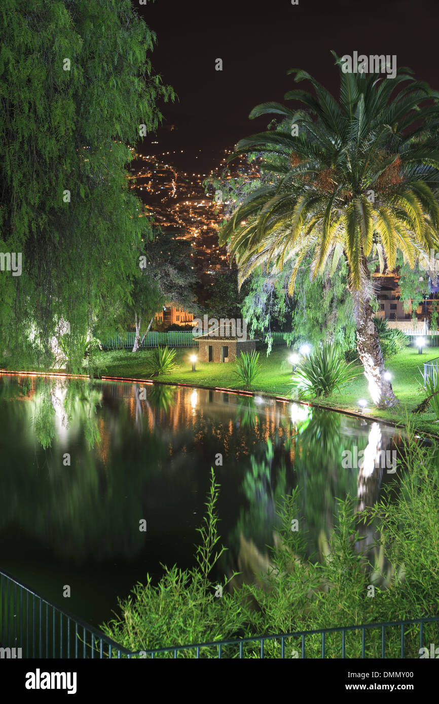 Portugal, Madeira Island, Funchal, tropical park by night Stock Photo ...