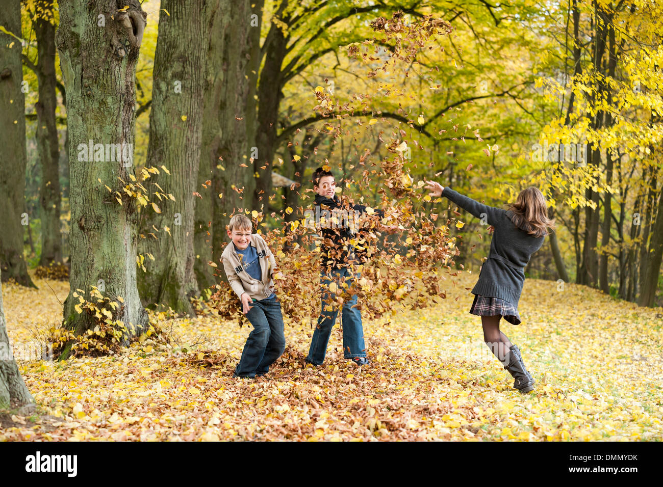 Children throwing autumn leaves hi-res stock photography and images - Alamy