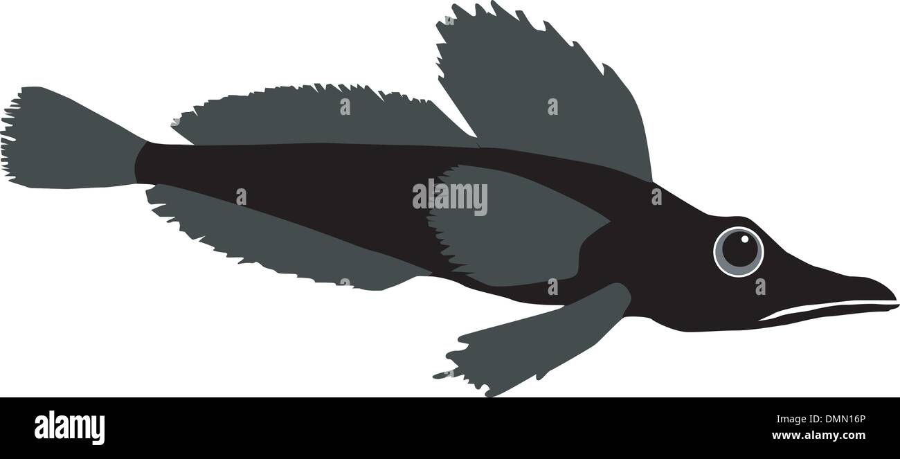 Icefish Stock Vector Images - Alamy