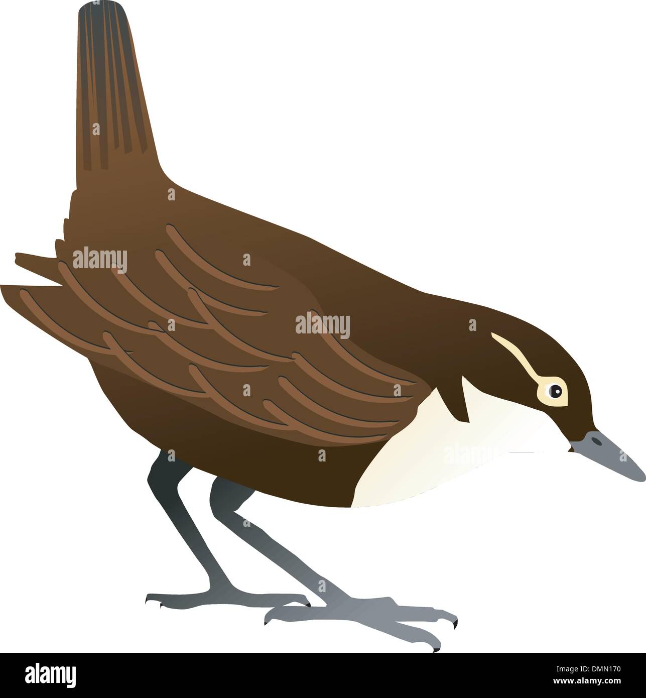 Vector image of dipper Stock Vector Image & Art - Alamy