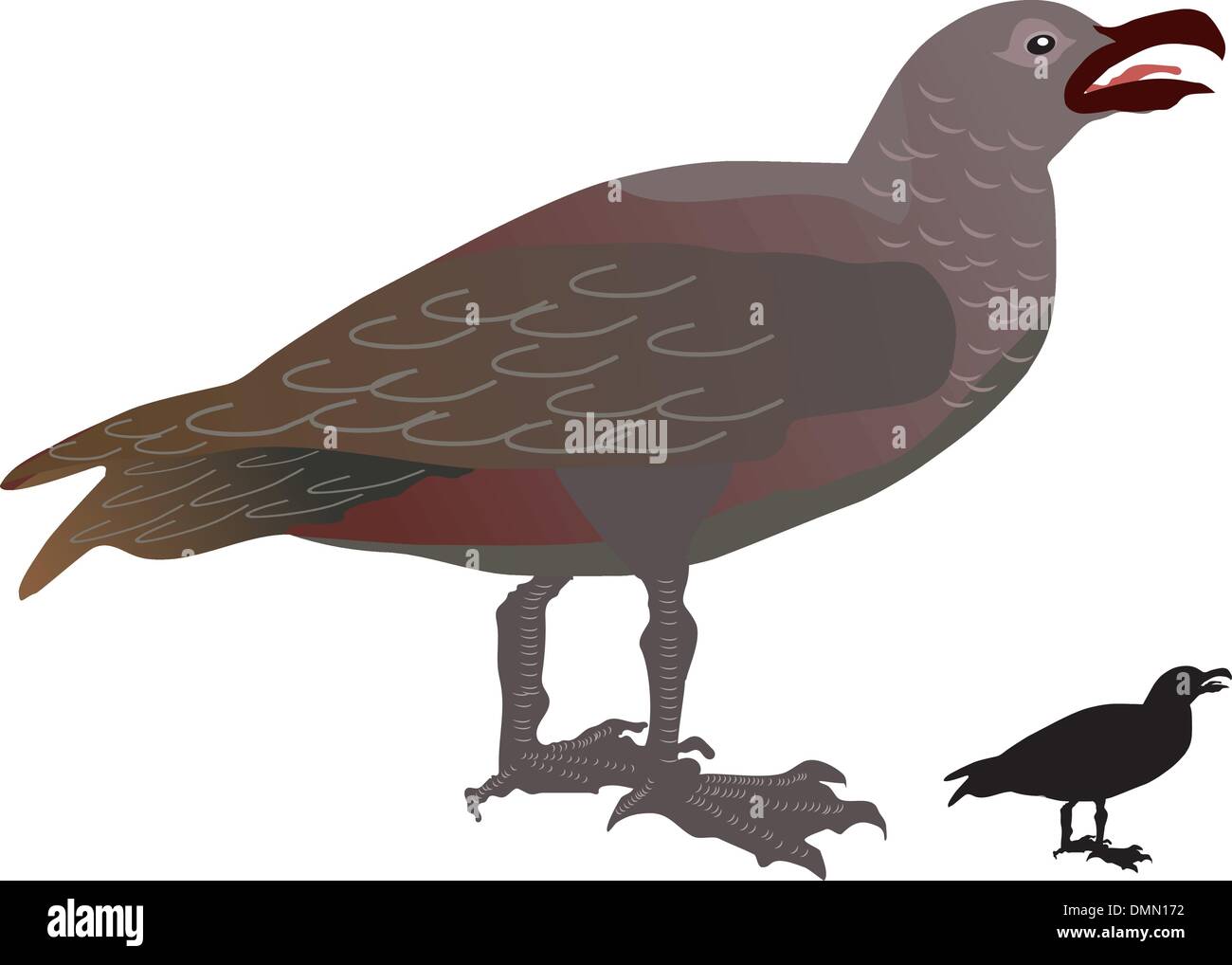 Skua Stock Vector Images - Alamy