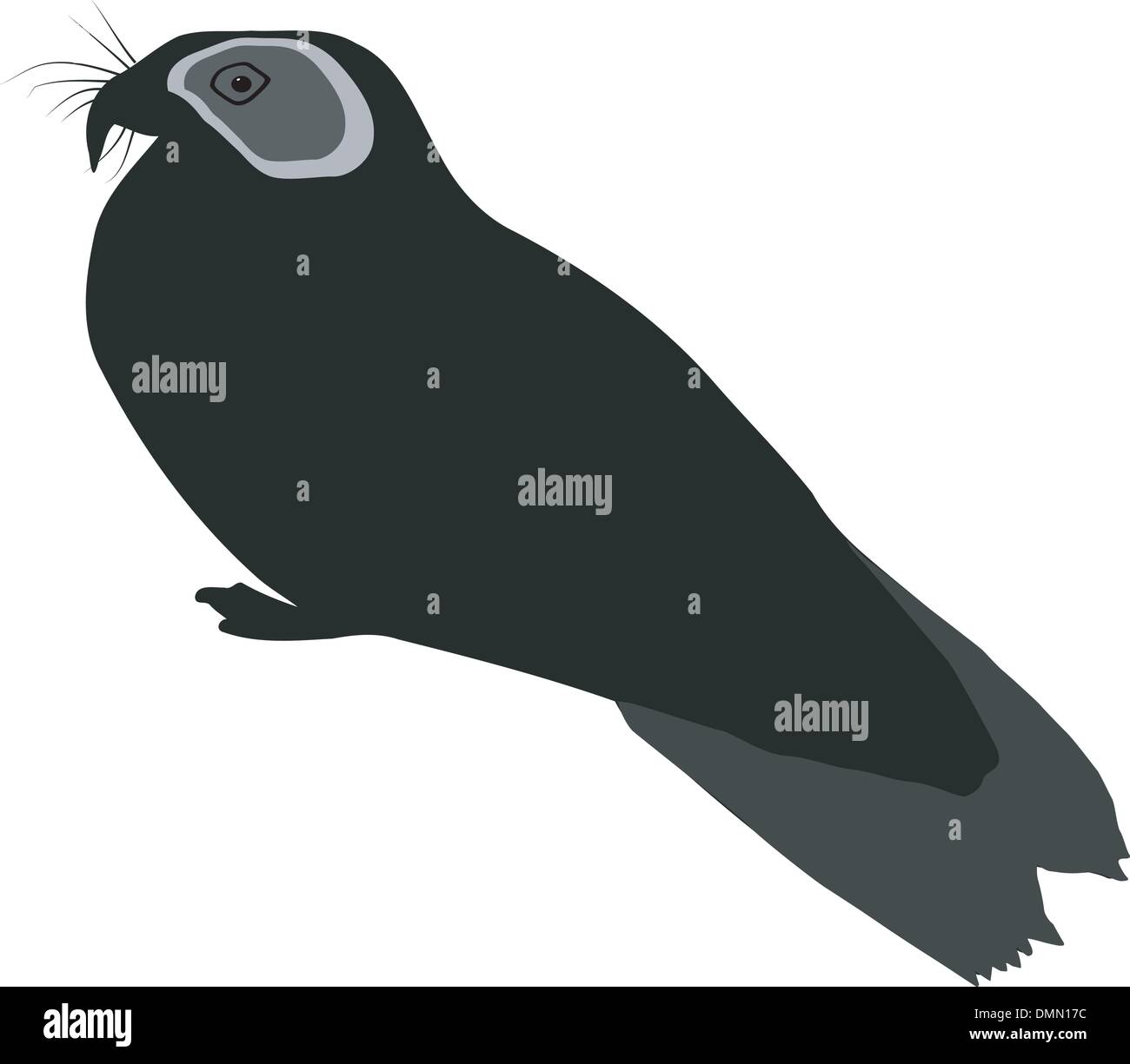 Vector image of guacharo Stock Vector Image & Art - Alamy
