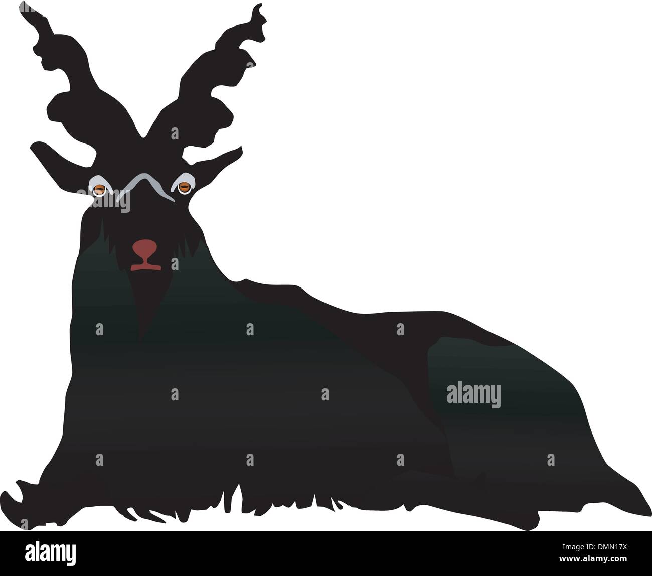 Markhor drawing hi-res stock photography and images - Alamy