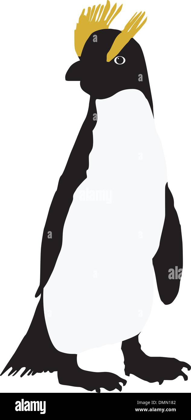 Vector drawing of penguin Stock Vector Image & Art - Alamy