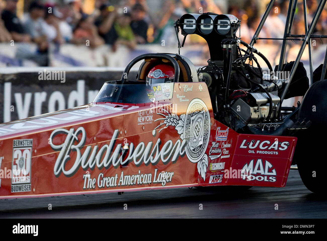 Nov 01, 2009 - Las Vegas, Nevada, USA - BRANDON BERNSTEIN, Budweiser ...