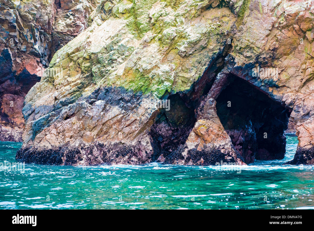 Peru,South America, coast at Paracas National Reservation, Peruvian ...