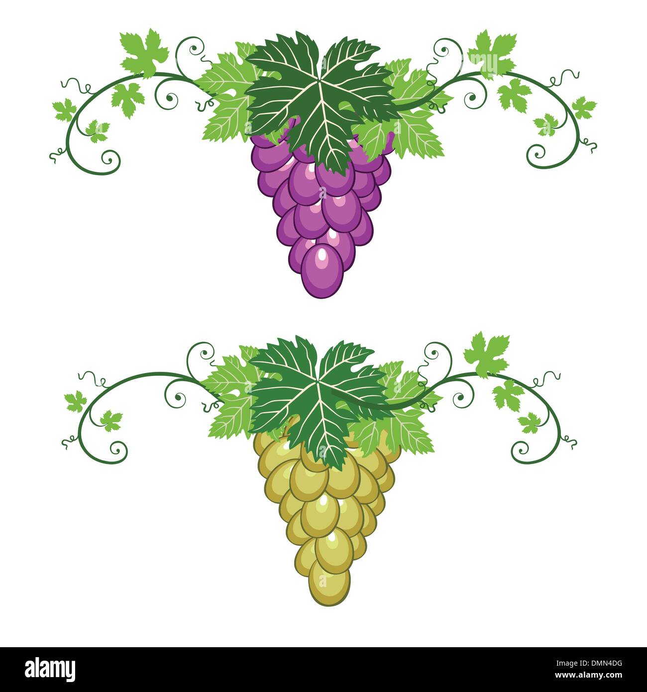 Grapes border with leaves on white background Stock Vector Image & Art ...