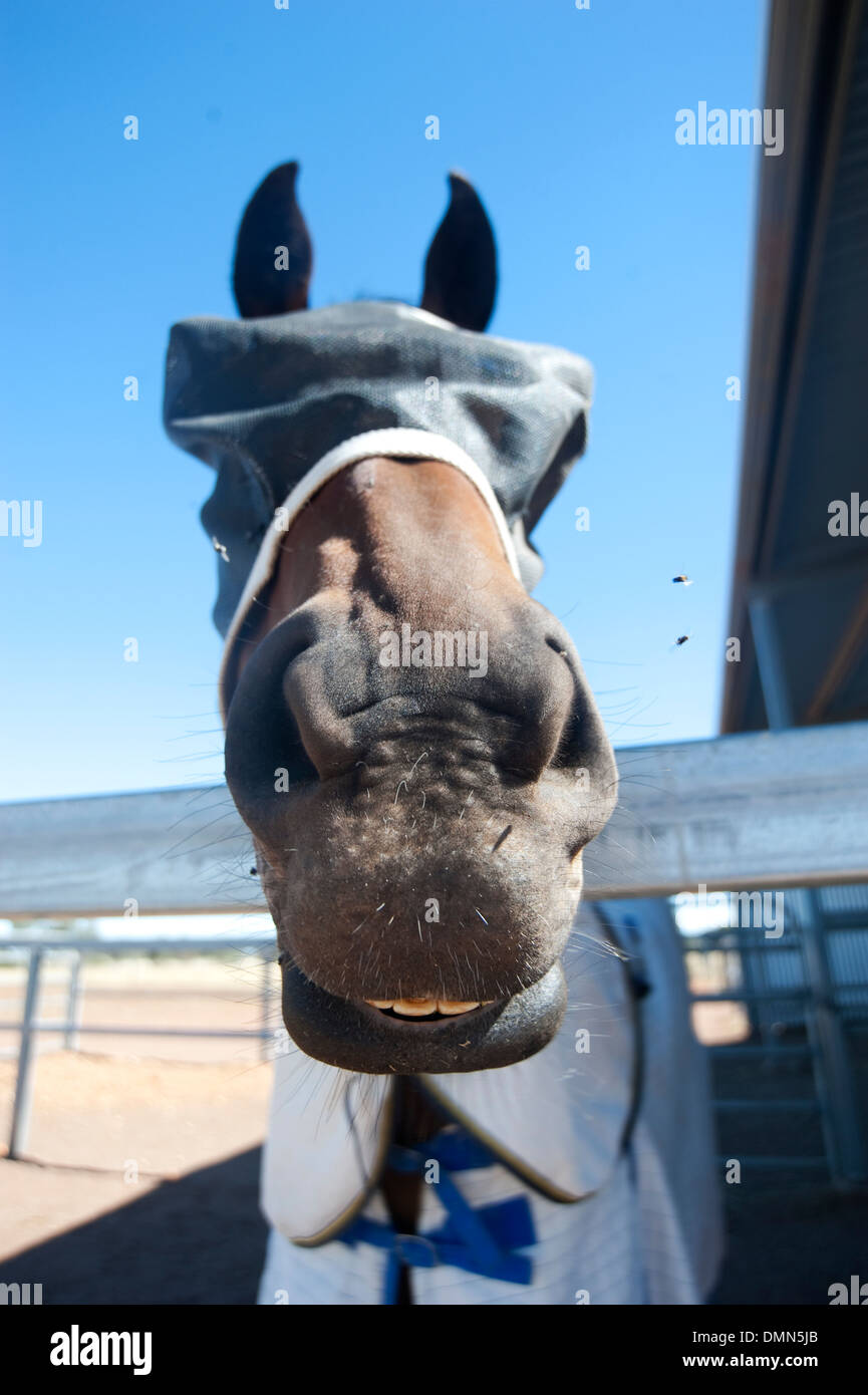 Smiling with teeth hi-res stock photography and images - Alamy