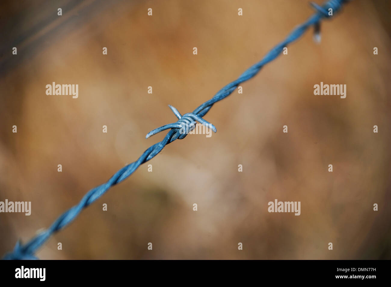 Barbed wire cage hi-res stock photography and images - Alamy
