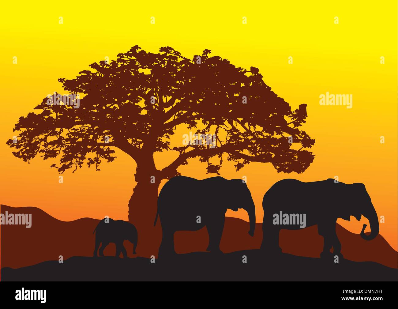 Big ear elephant Stock Vector Images - Alamy