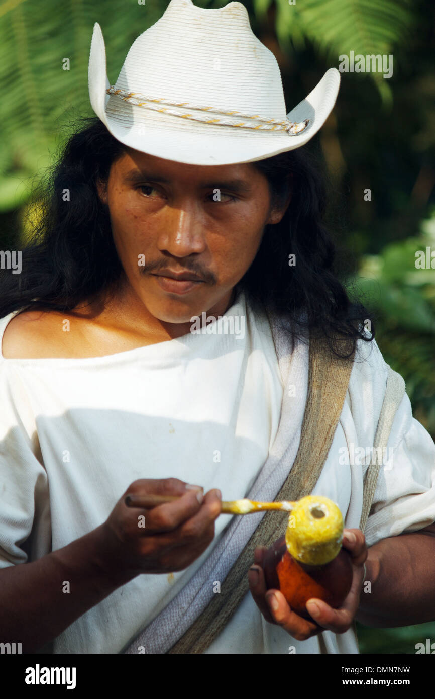 A Kogi indian uses his poporo Stock Photo - Alamy