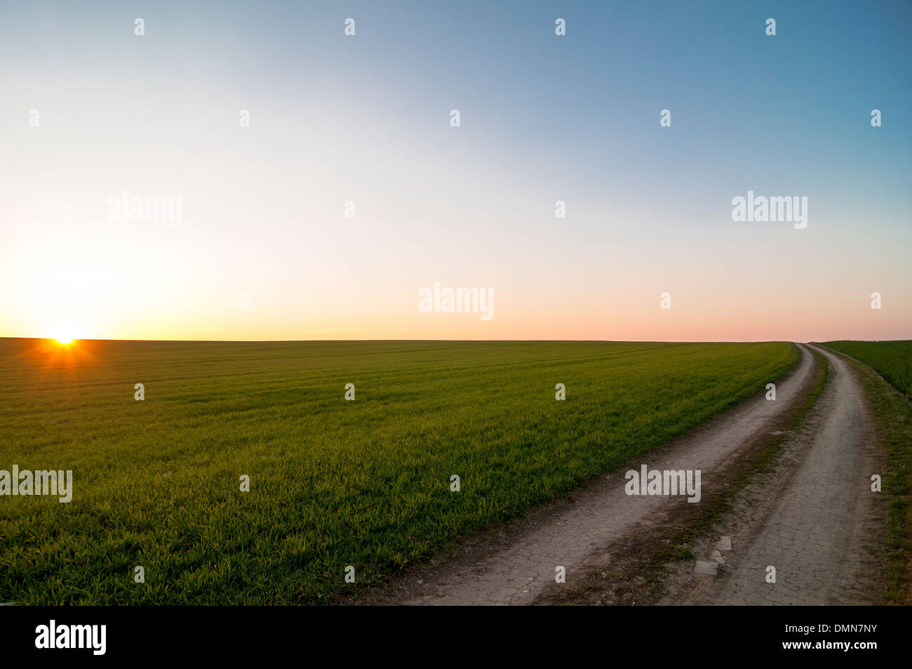 00463 hi-res stock photography and images - Alamy