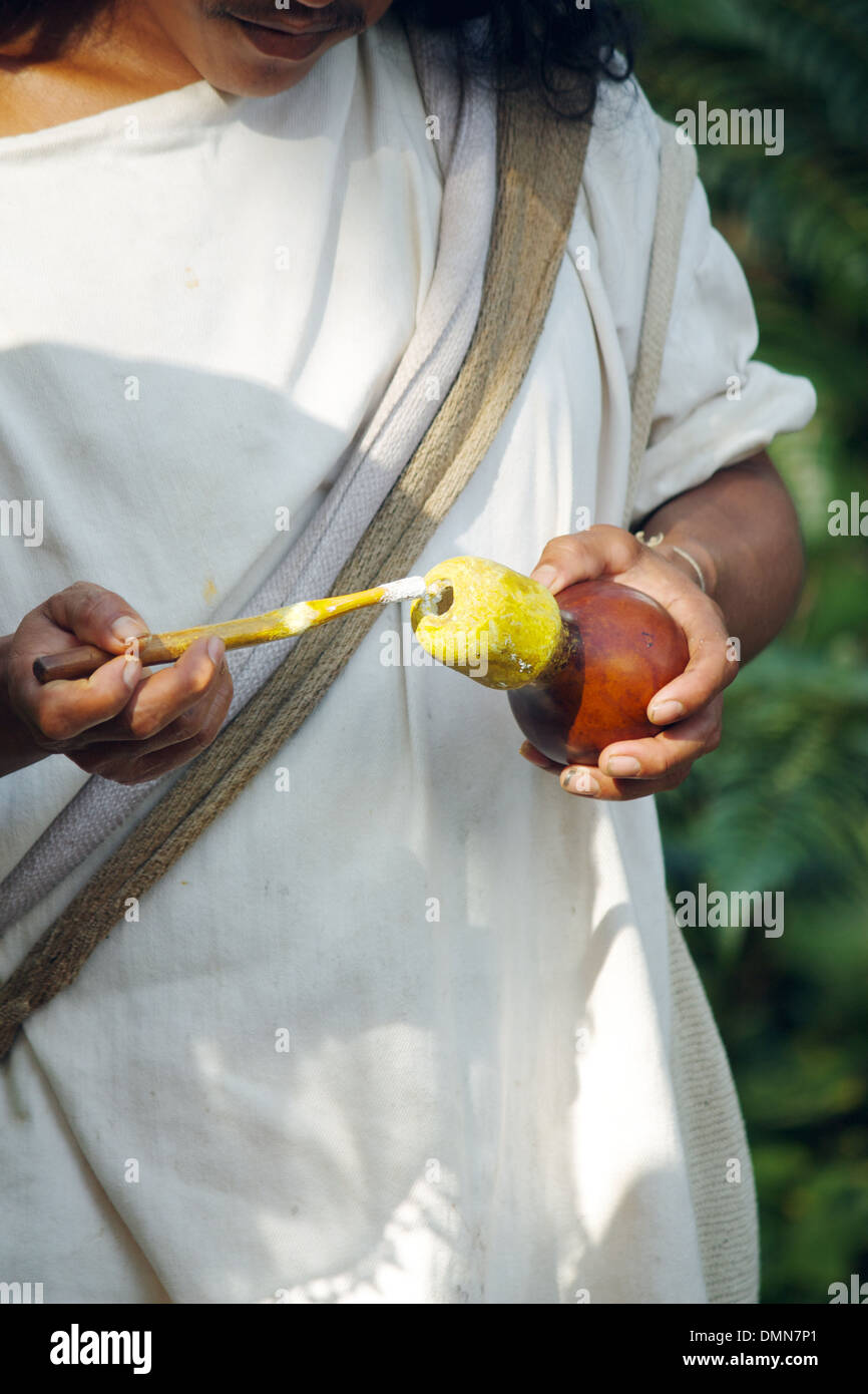 Poporo hi-res stock photography and images - Alamy