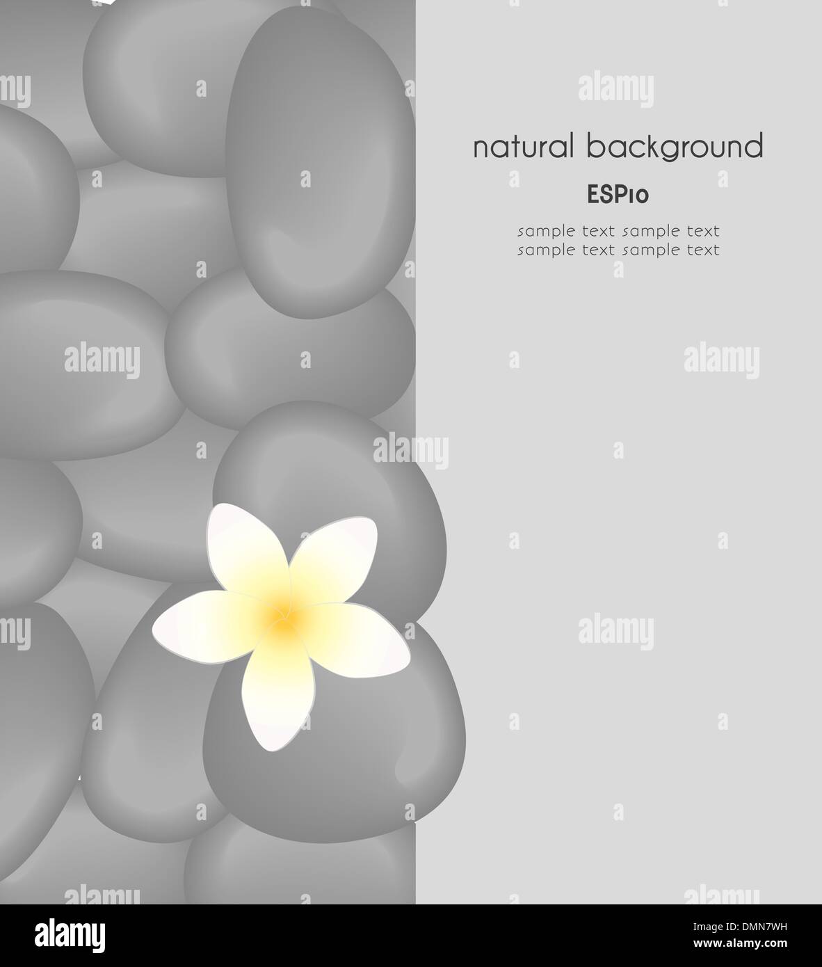 Wellness concept zen stone Stock Vector Images - Alamy