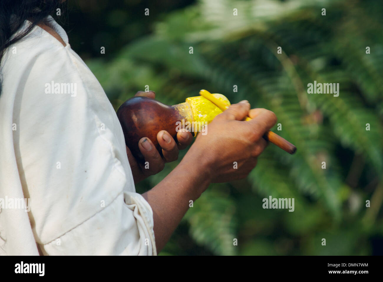 Poporo hi-res stock photography and images - Alamy