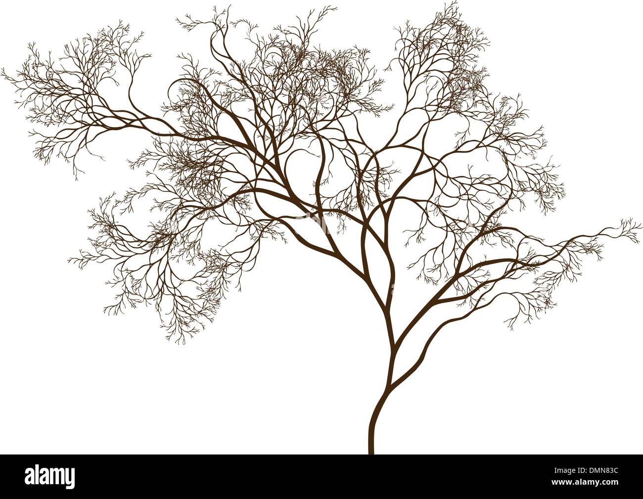 detailed vector tree Stock Vector Image & Art - Alamy
