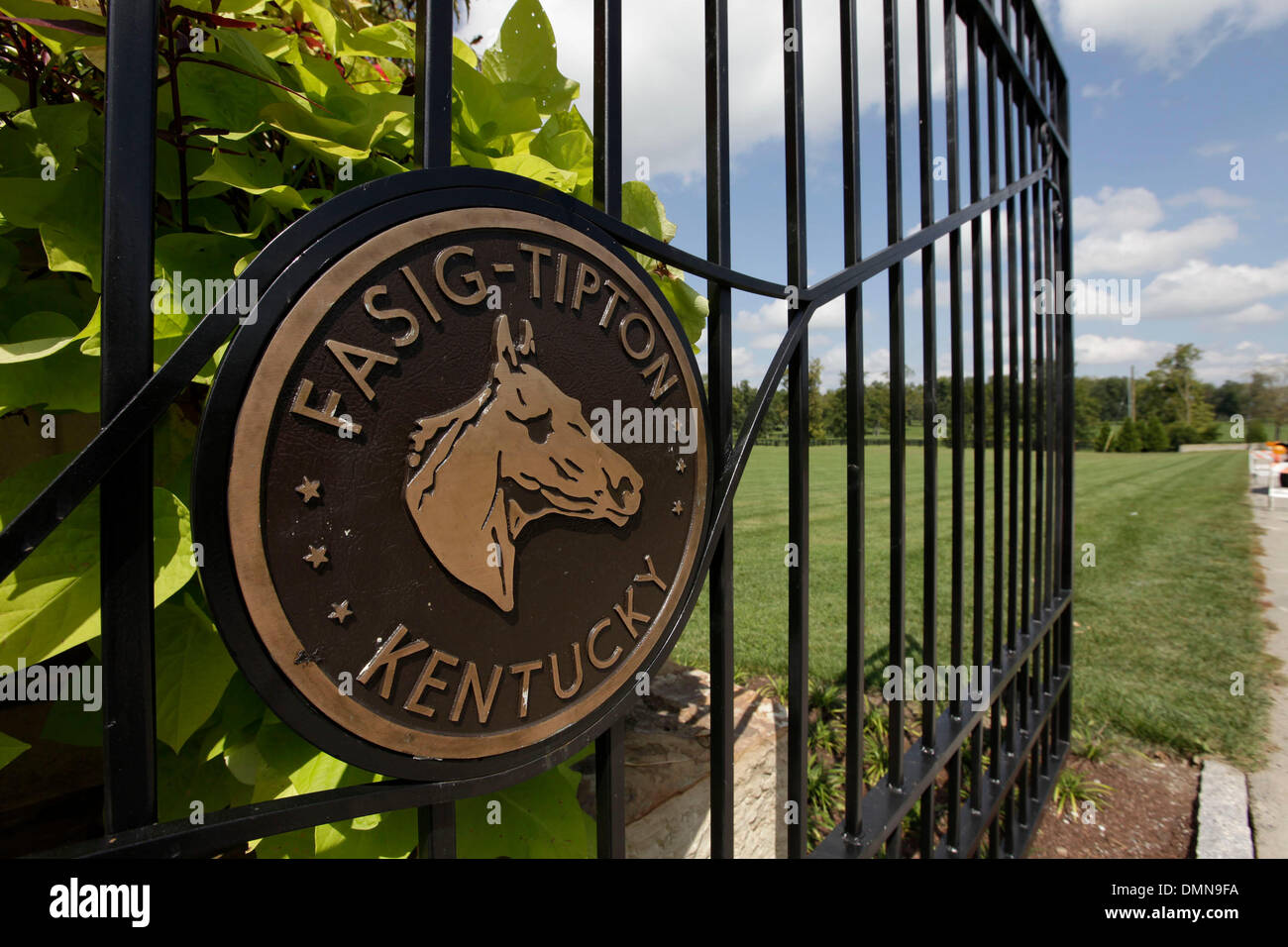 Fasig hi-res stock photography and images - Alamy