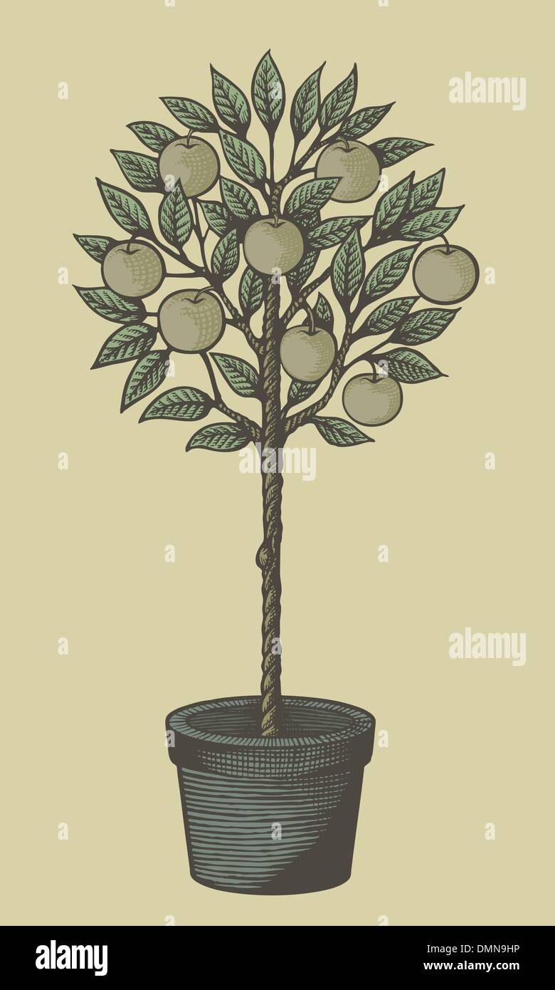 Plant woodcut hi-res stock photography and images - Alamy