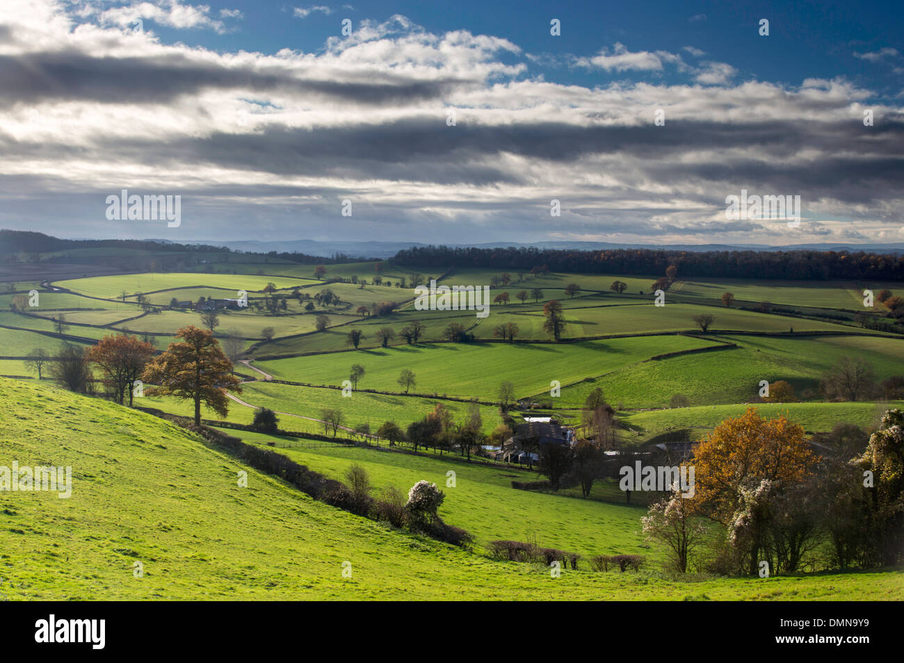 Herefordshire countryside in autumn from the Marcle Ridge near Much ...