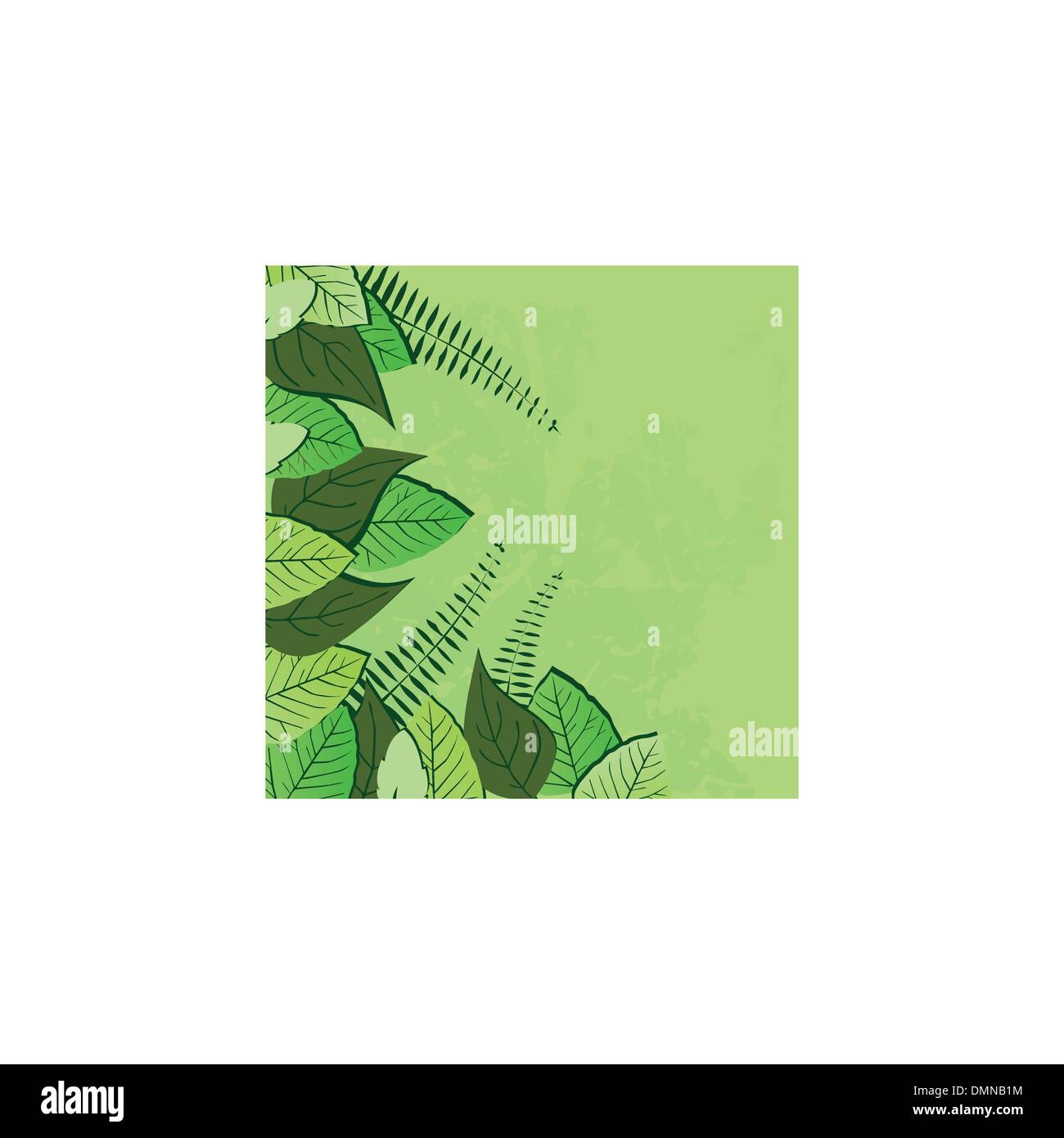 Leaf, spring - vector background Stock Vector Image & Art - Alamy