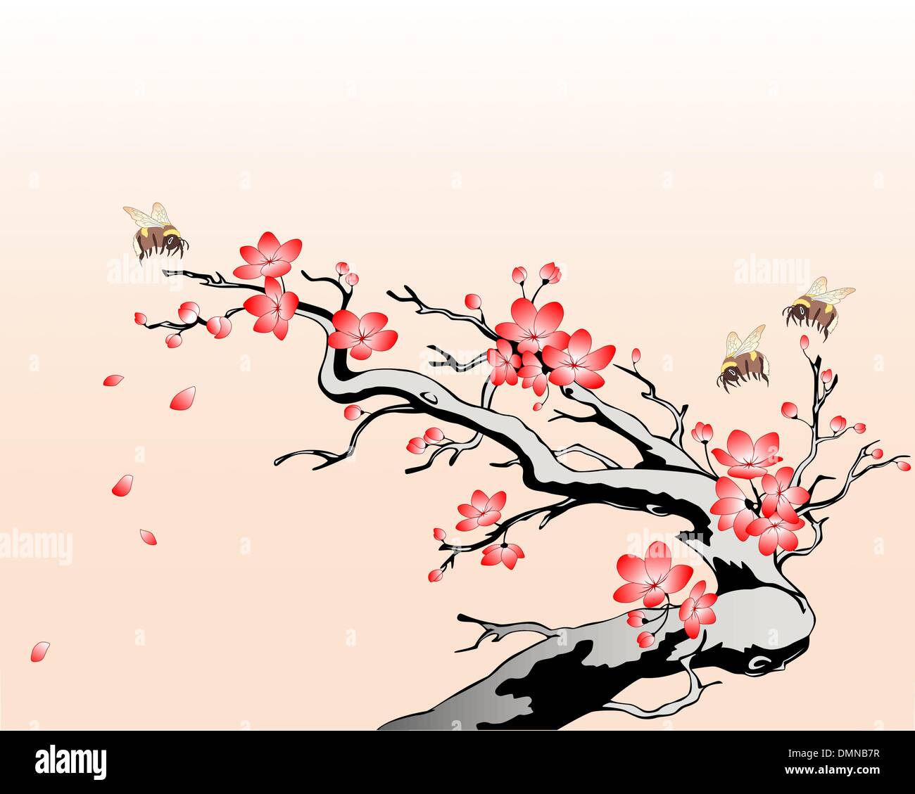 Flowering branch japanese cherry Stock Vector Images - Alamy