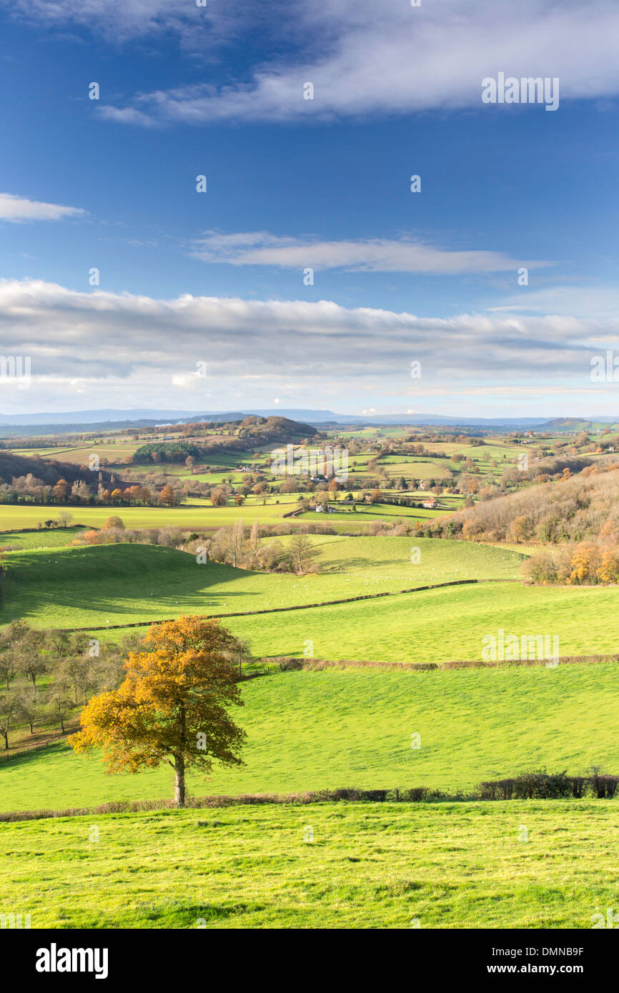 Woolhope hi-res stock photography and images - Alamy