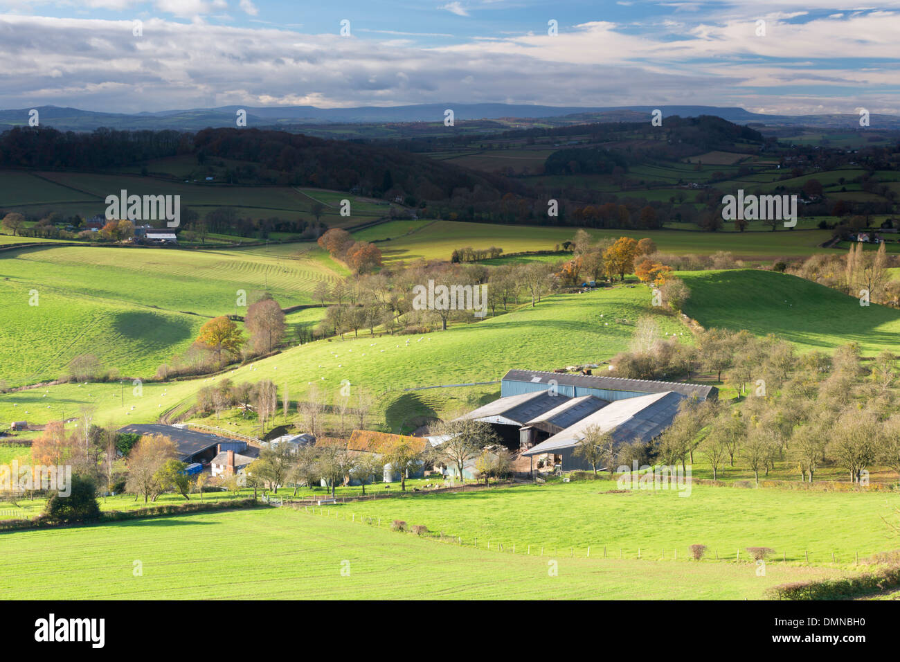 Herefordshire countryside from the Marcle Ridge and distant Black ...