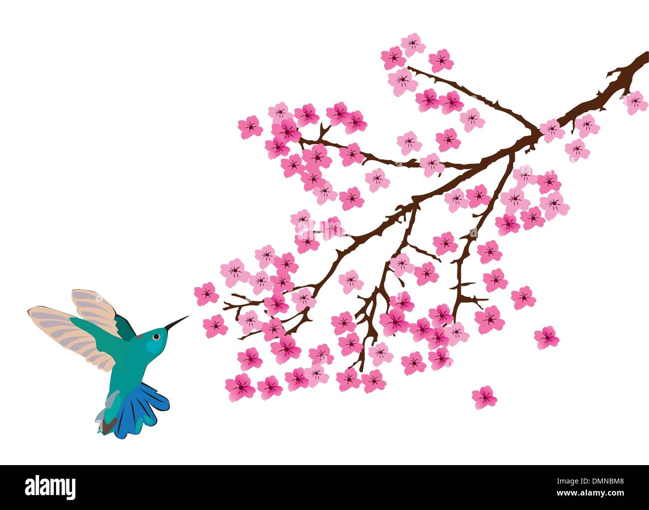 Humming bird beauty Stock Vector Images - Alamy