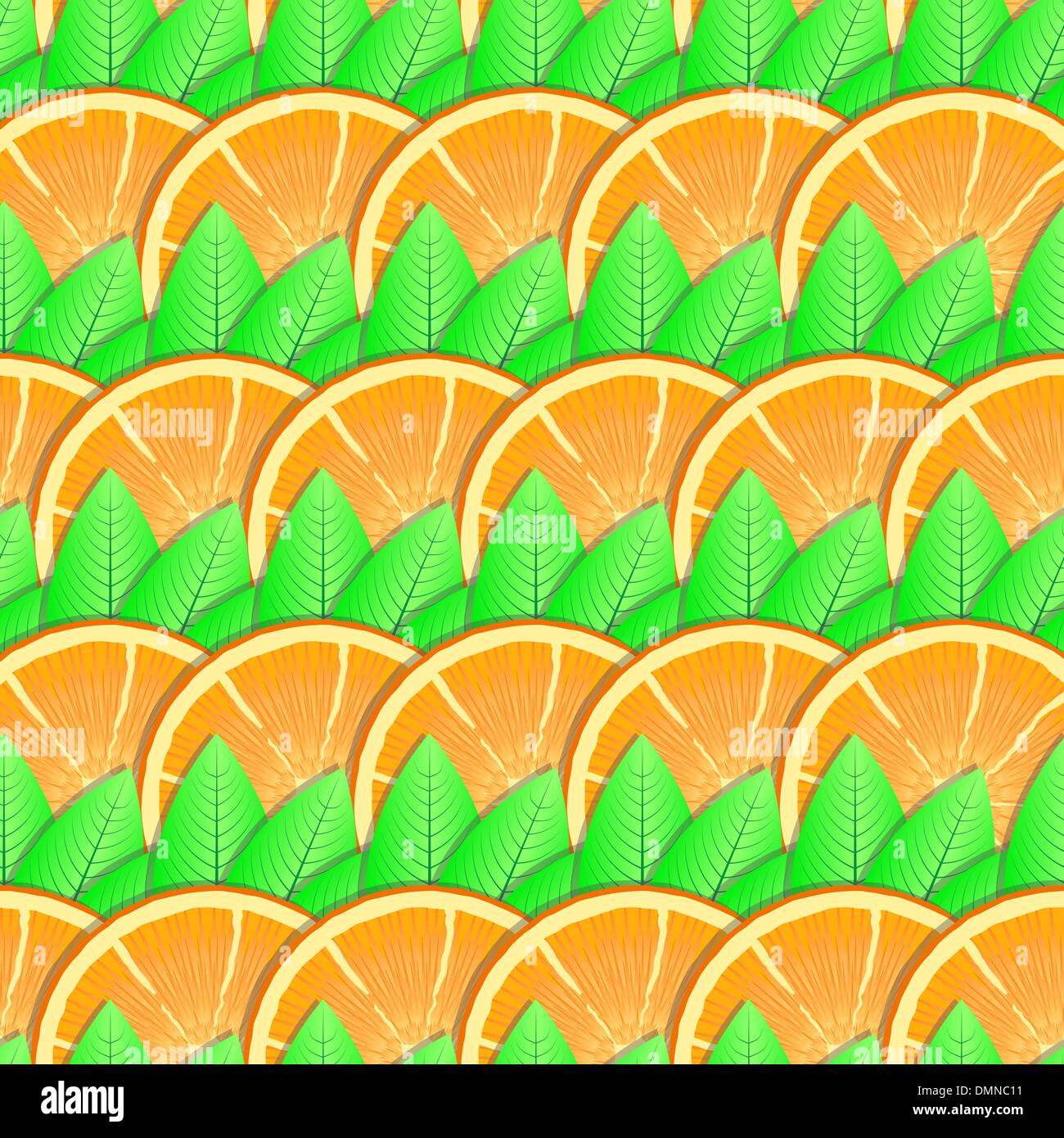 Citrus cross section Stock Vector Images - Alamy