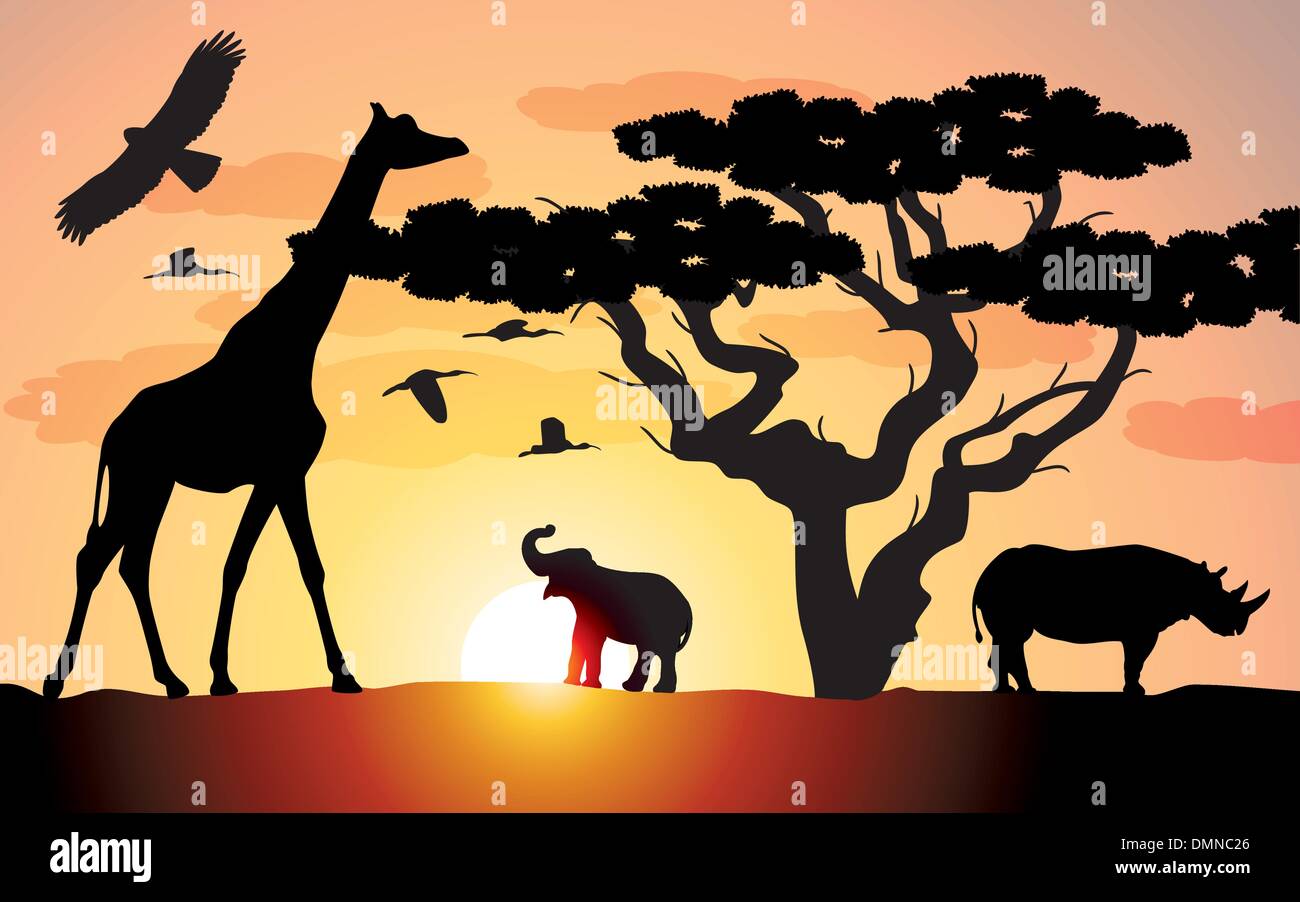 vector giraffe, rhinoceros and elephant in africa Stock Vector Image ...
