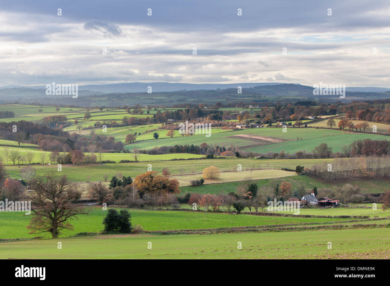 Woolhope hi-res stock photography and images - Alamy