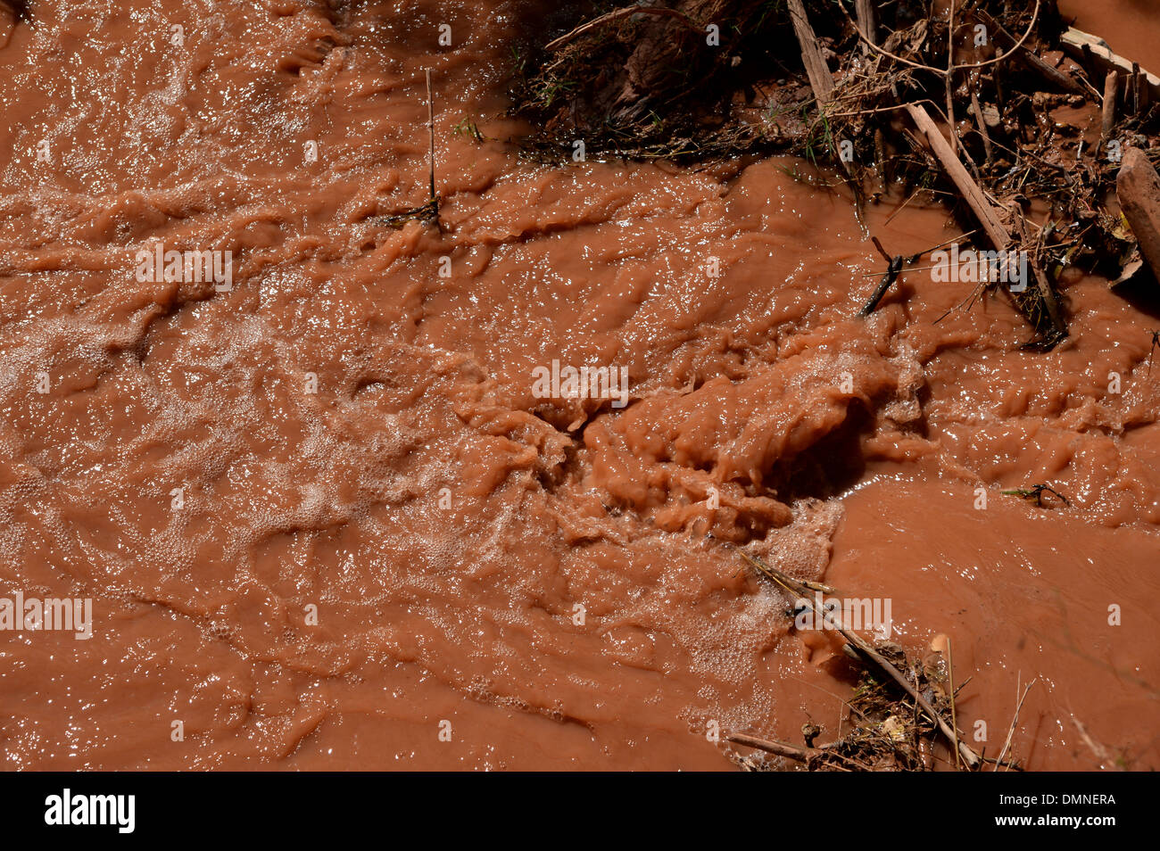 Red Water in the Palo Duro Canyon state park near Amarillo in Texas the ...
