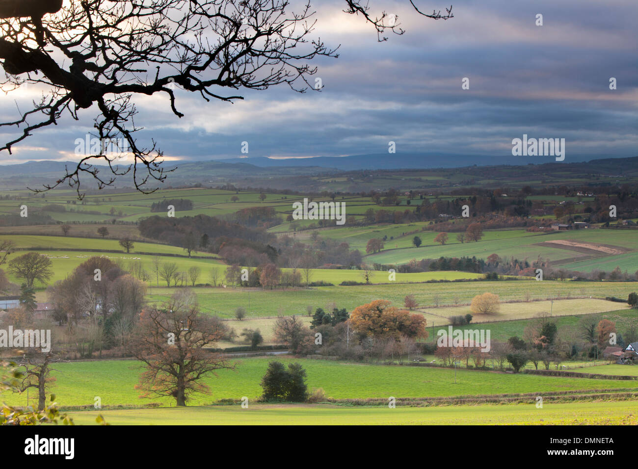 Woolhope hi-res stock photography and images - Alamy