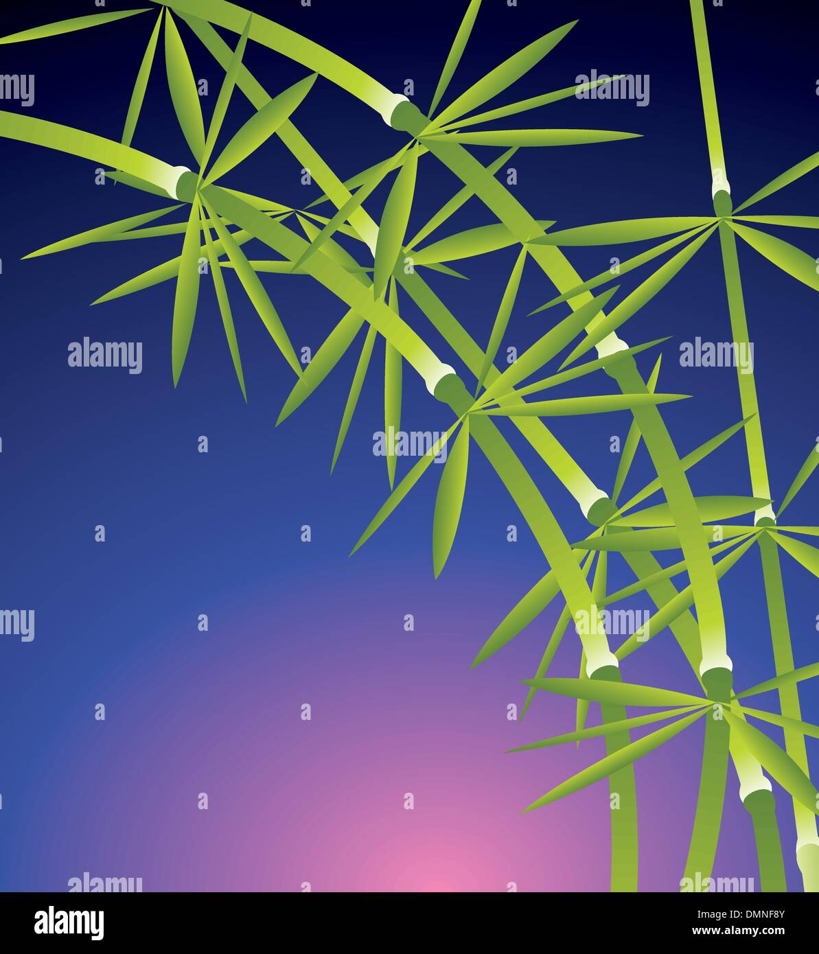 Bamboo, vector illustration Stock Vector Image & Art - Alamy